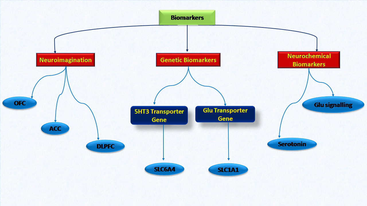 Exploring Biomarkers and Contributing Factors in Obsessive-Compulsive ...